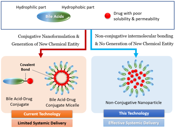 KBSI, 모든 바이러스 치료에 효과적인 '나노 전달체 기술' 개발
